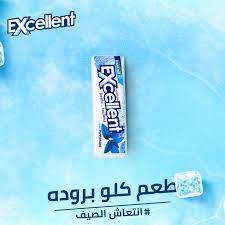 Excellent champions chewing gum peppermint 14g
